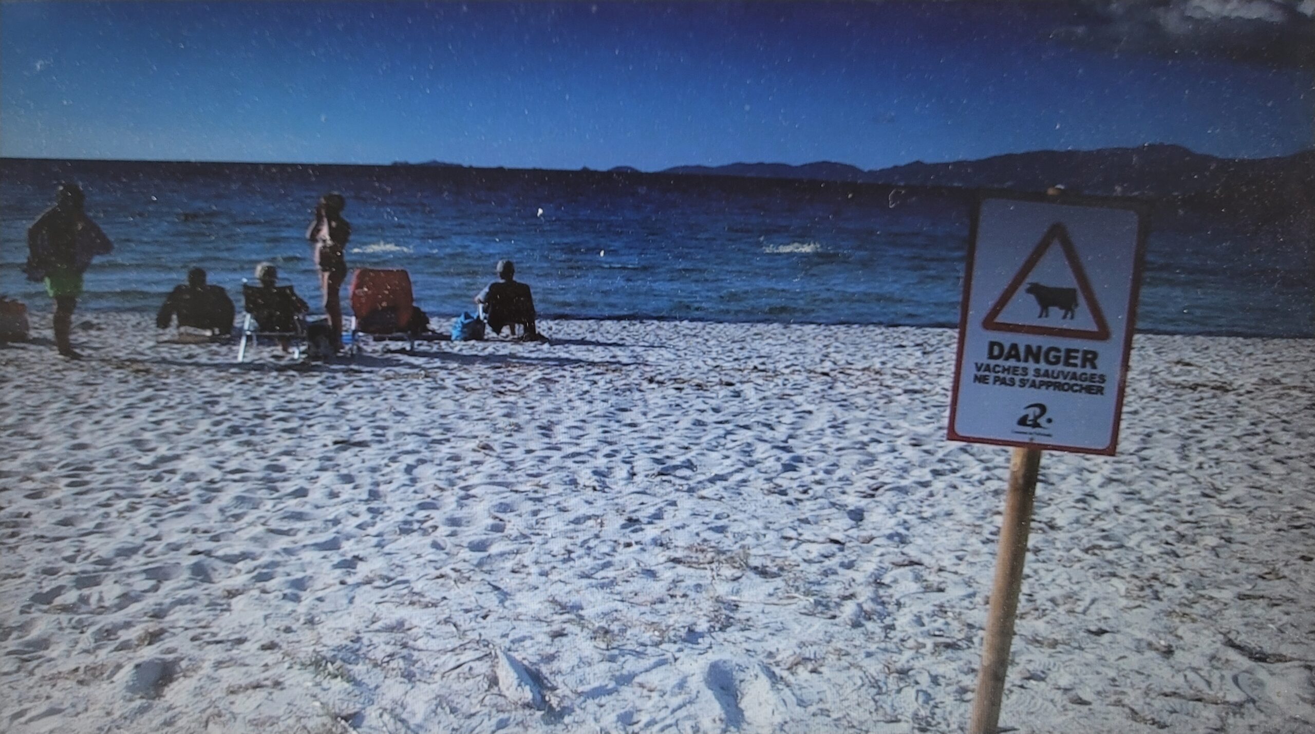 OH, LA VACHE ! - CMCA