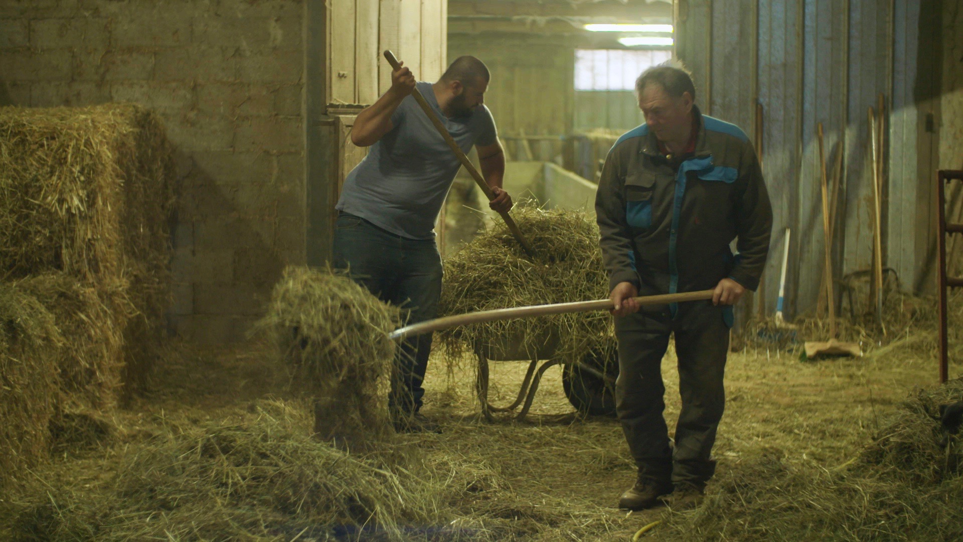 PASSER LA MAIN - CMCA